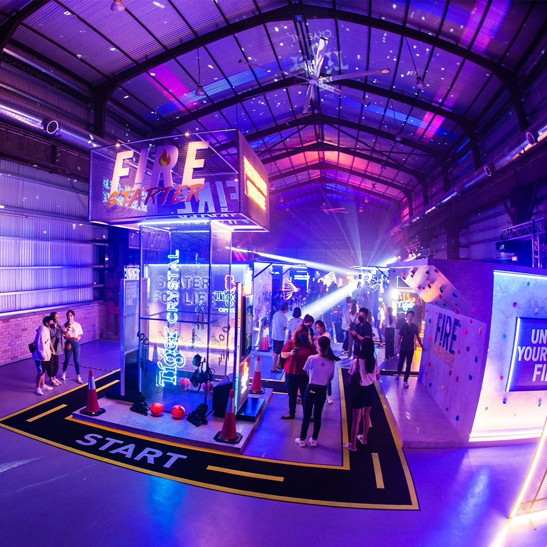 TIGER | ViDe Insight