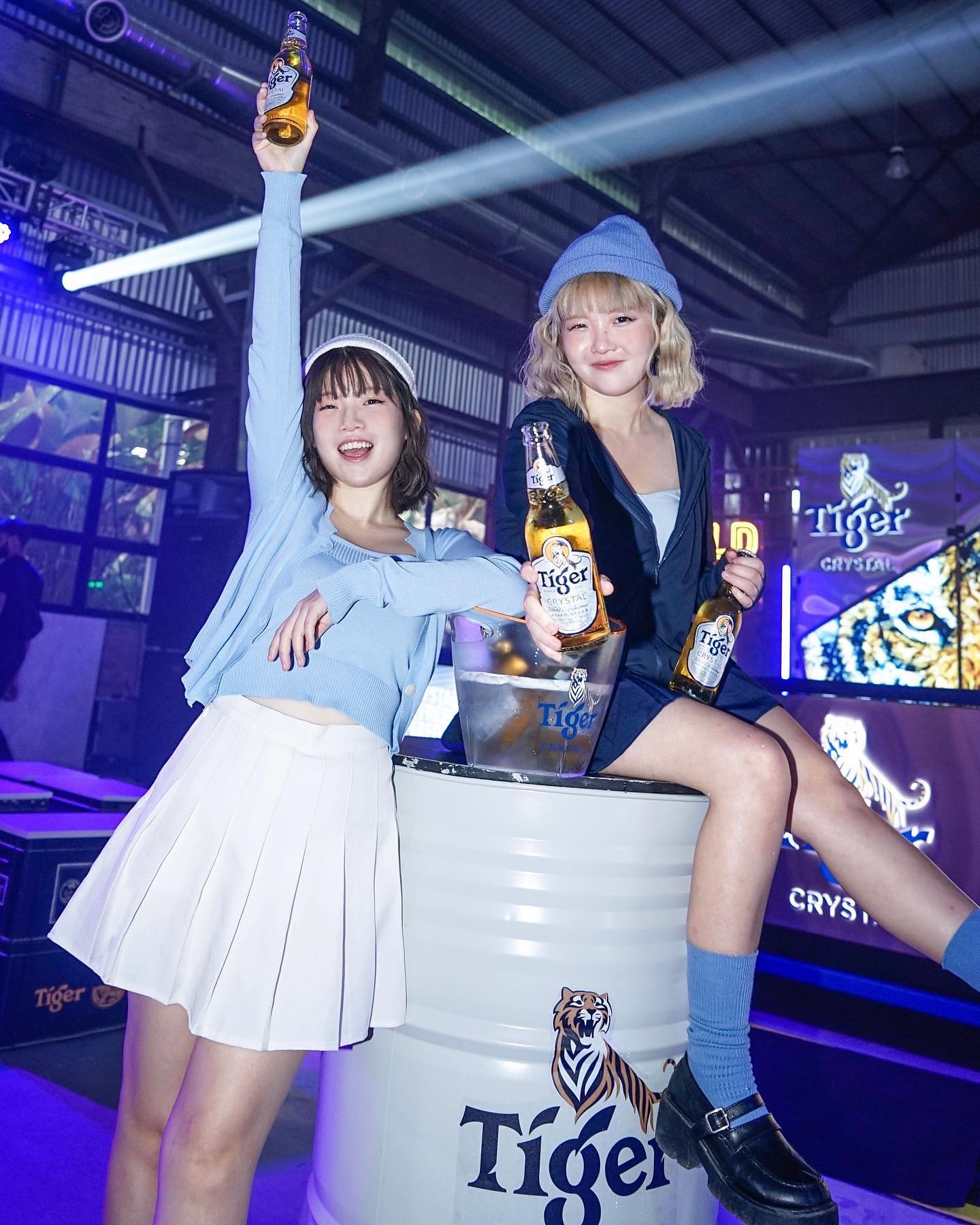 TIGER | ViDe Insight